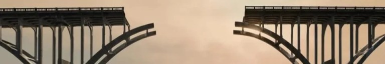 Meet Your Two Brains: The Wizard and The Lizard – Building Bridges